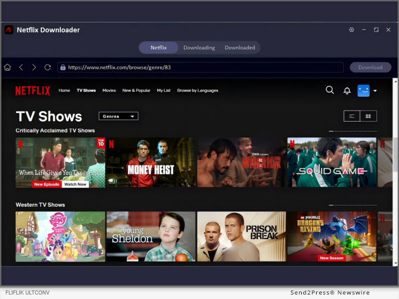Software: How to Download Netflix to MP4 with Newly Released FliFlik ...