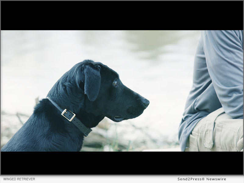 FILM: From Loss Comes Legacy: How a One-Eyed Retriever Inspired the ...